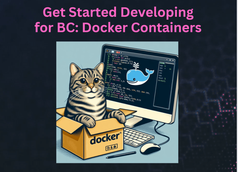 Get Started Developing for BC: Docker Containers – BC Development Notebook