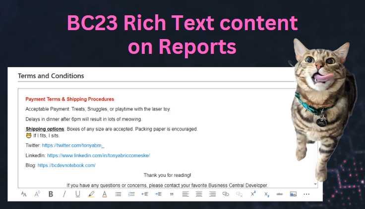 BC23 Rich Text content on Reports – BC Development Notebook