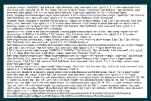 BC23 Rich Text content on Reports – BC Development Notebook