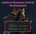 Labels in Business Central Development – BC Development Notebook