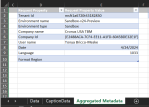 The comprehensive guide to using Business Central Excel Report Metadata with refreshable APIs ...