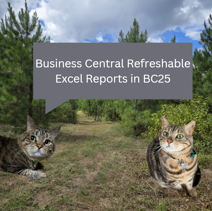 Business Central Refreshable Excel Reports in BC25 – BC Development ...